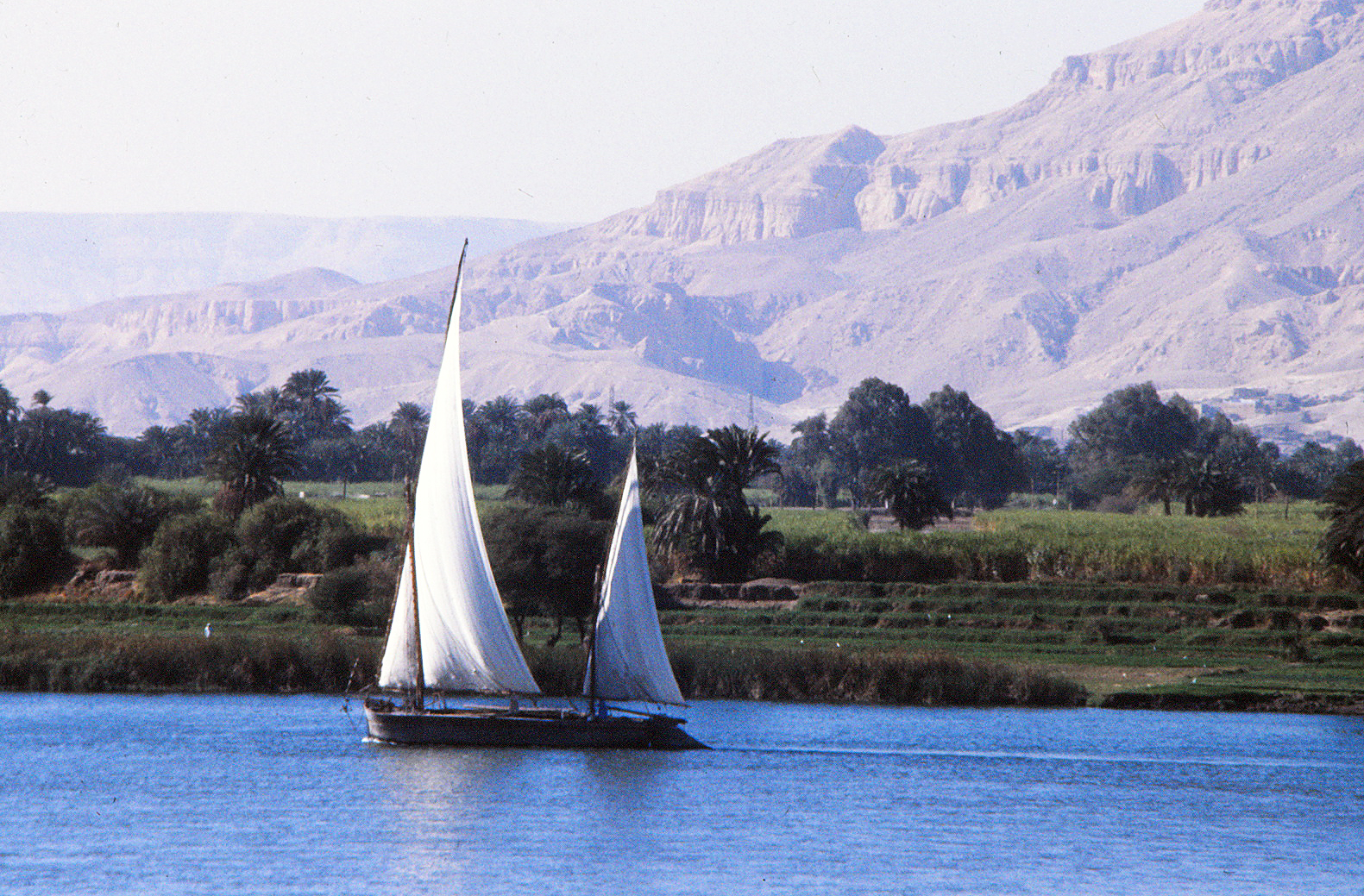 How Wide is the Nile Where She Comes From? - Kaleidoscope