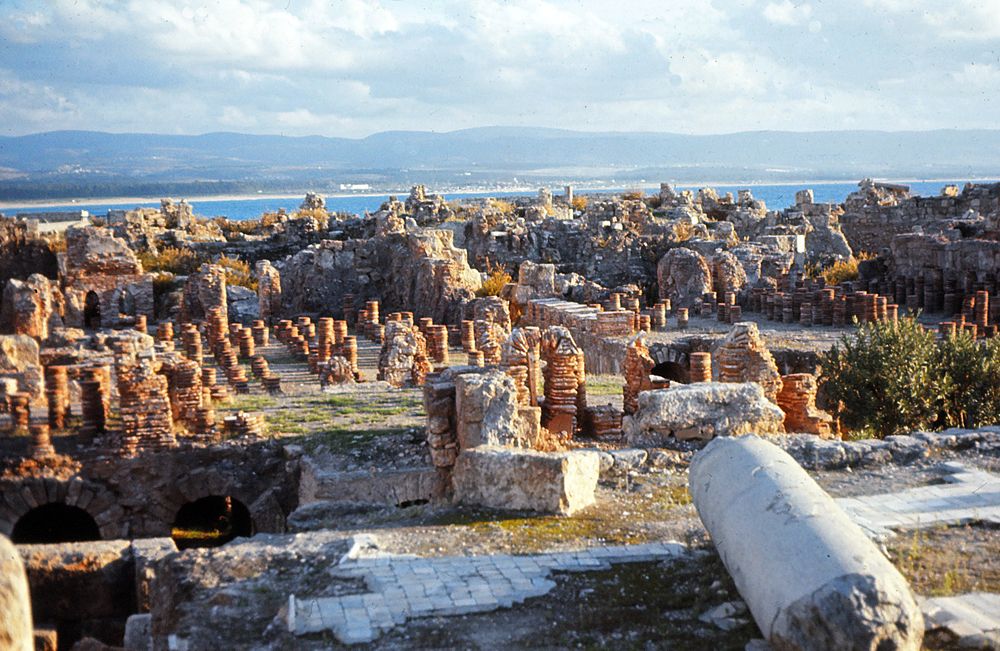 Cultivating A Field Of View (Lebanon / Israel) - Kaleidoscope